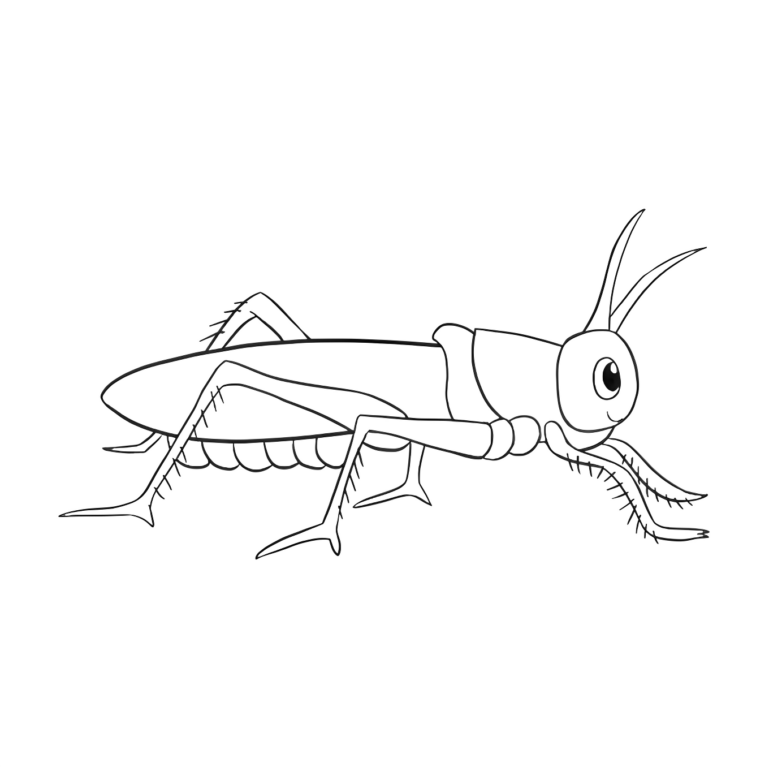 Grasshopper Coloring Pages Free Printable Coloring Sheets 
